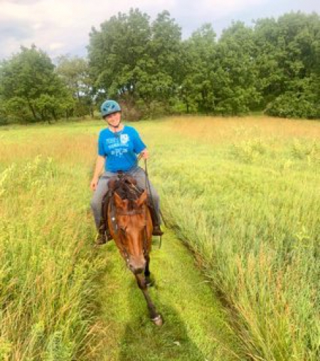 Quarab Gelding For Sale In Pennsylvania - Handsome Trail Horse Deluxe ...